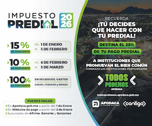 Masacre en Salamanca expone la guerra entre el Cártel Santa Rosa de ...